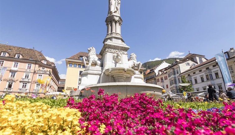 Bolzano Flower Festival - Bolzano City Centre - Bolzano and ...